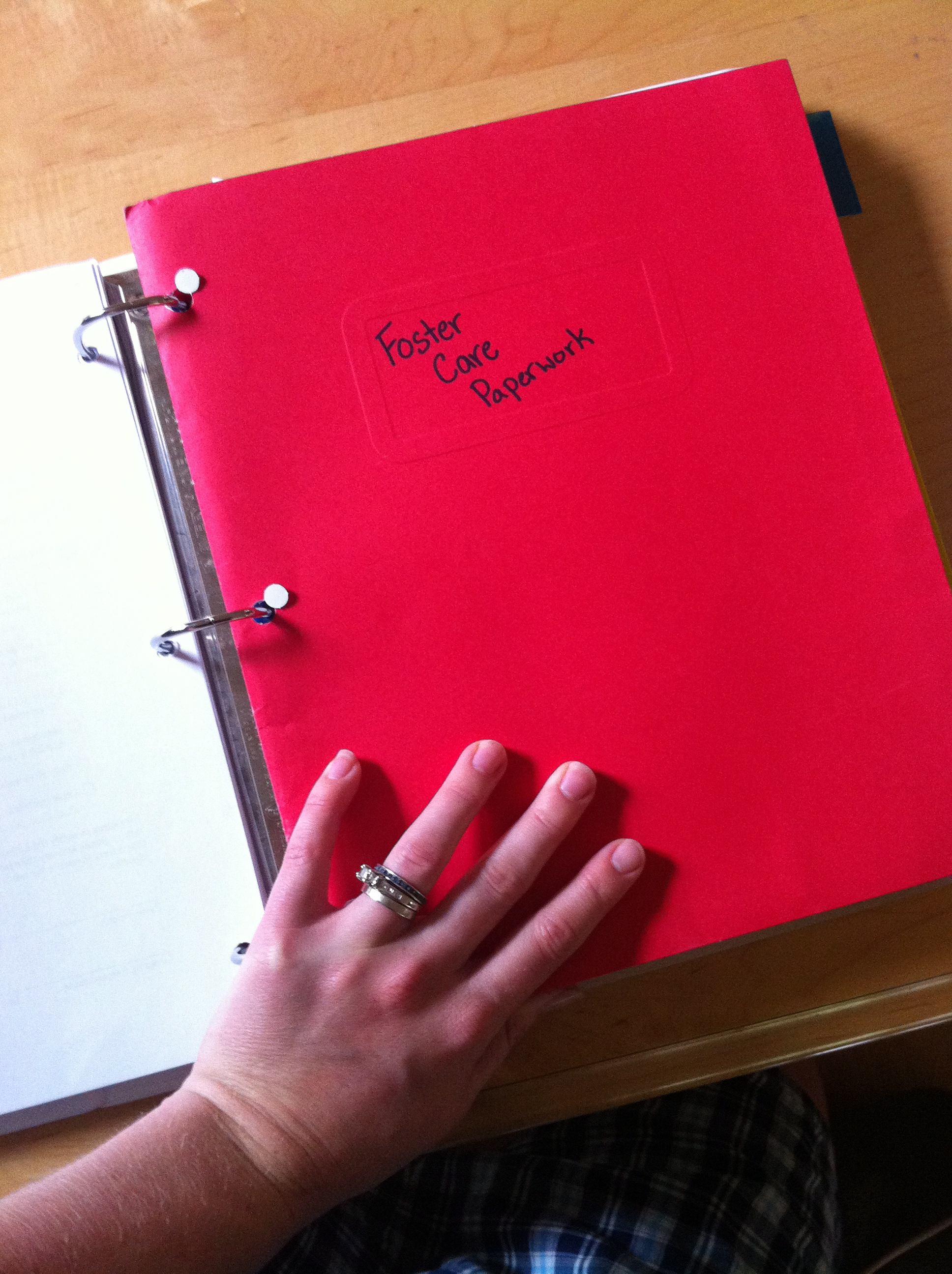 The Organized Foster Parent - The Glorious Mundane