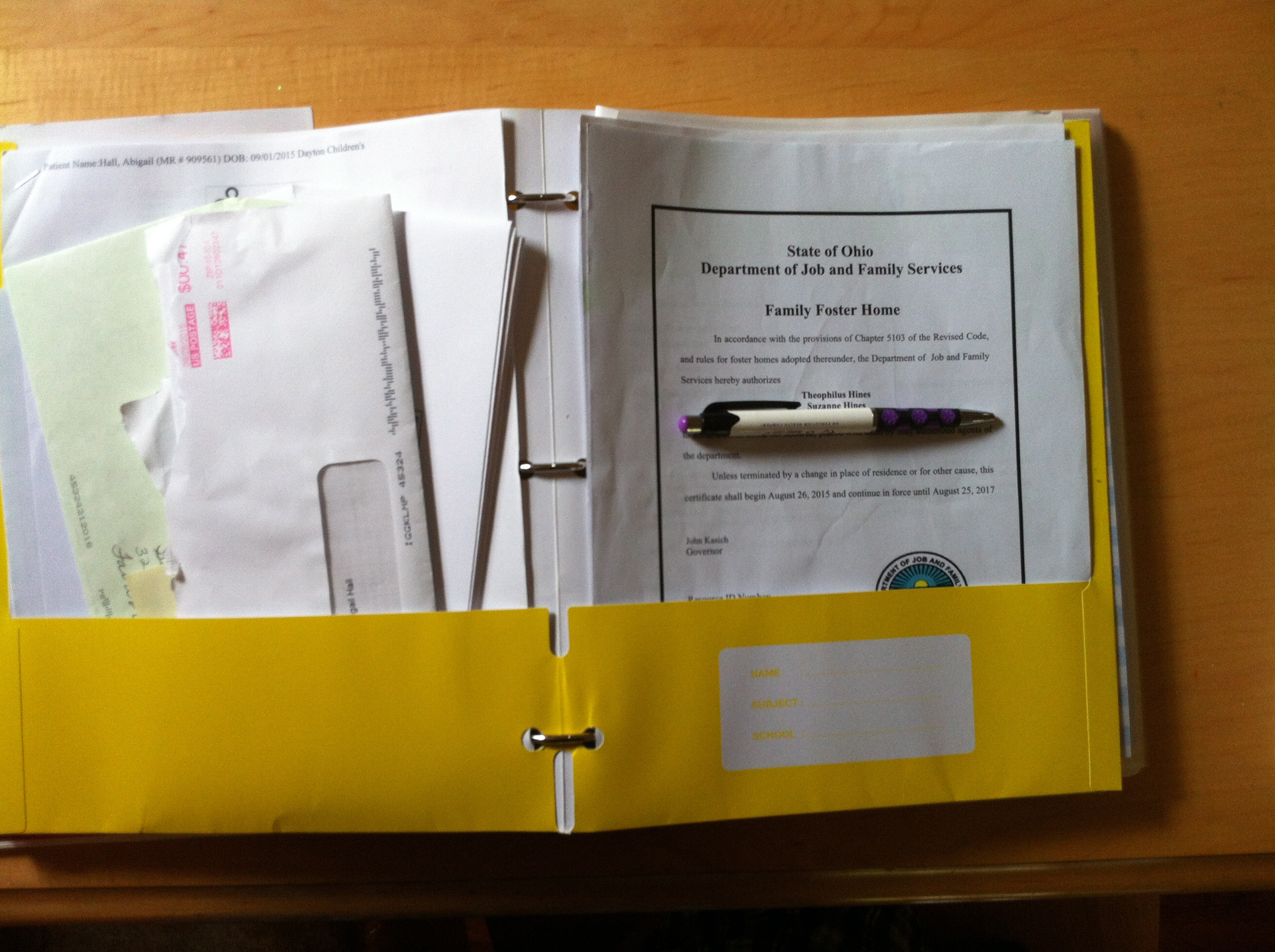 The Organized Foster Parent - The Glorious Mundane