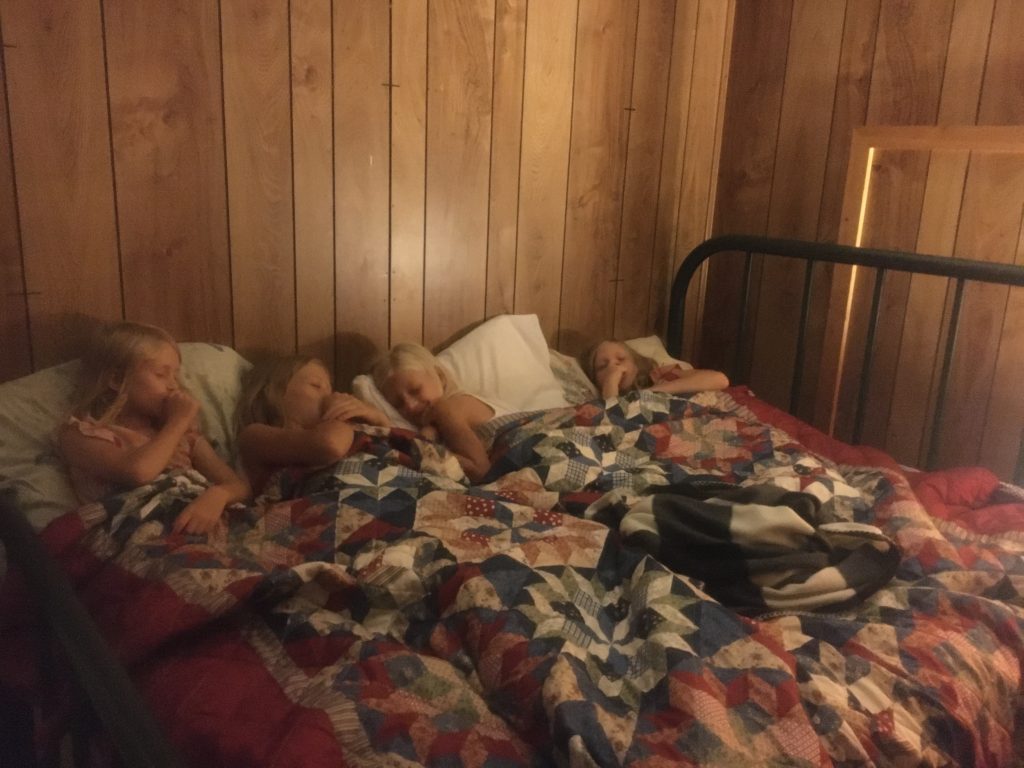 Hines Family Reunion 2021 - The Glorious Mundane