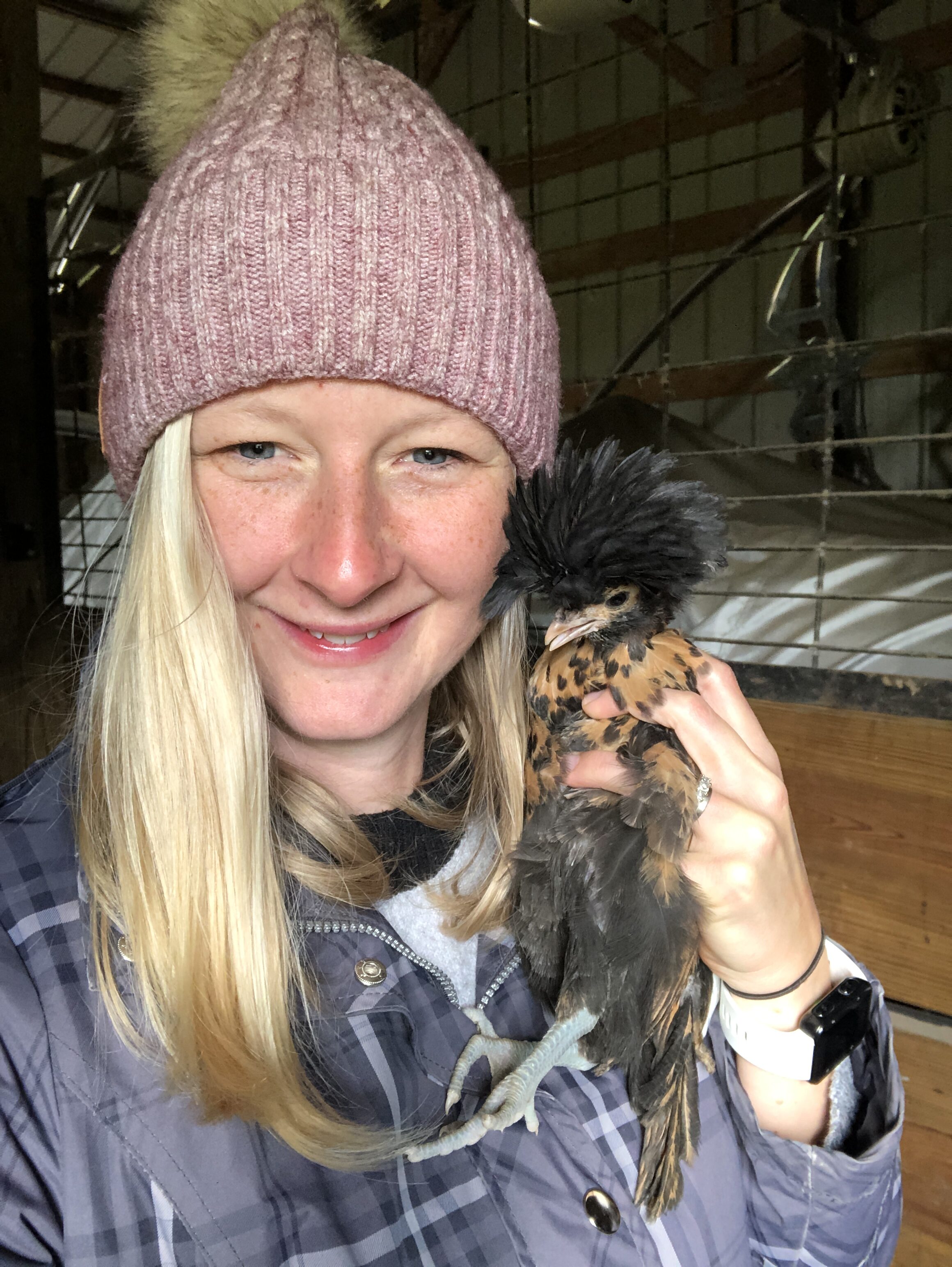 4 Seasons on the Homestead - The Glorious Mundane